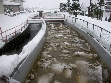 用水路へ投雪しないで下さい 関川水系土地改良区 農村の未来のためにできること
