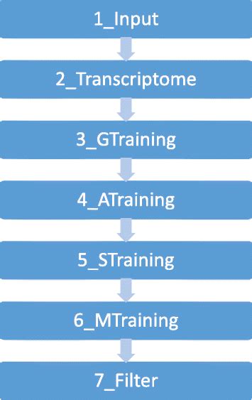 The List Of Output Directories From The Seven Stages In Seqping