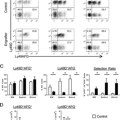 Nk Phenotype Selection And Anergy In Prenatal Chimeras A Schematic
