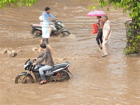 Rain Update Heavy Rains In Maharashtra Major Damage To Agriculture In
