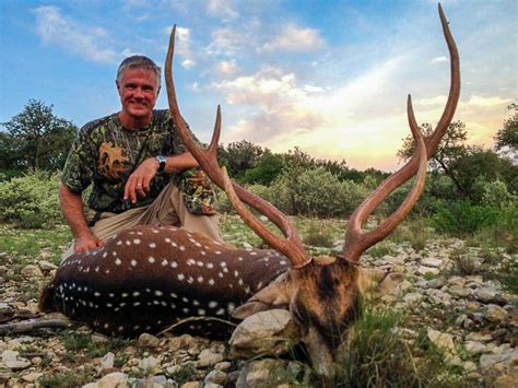 Axis Deer Hunting 60 Species Available To Hunt Ox Ranch