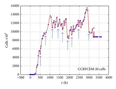 Graphical Representation Of Time Series Experiments For The Ccrcem