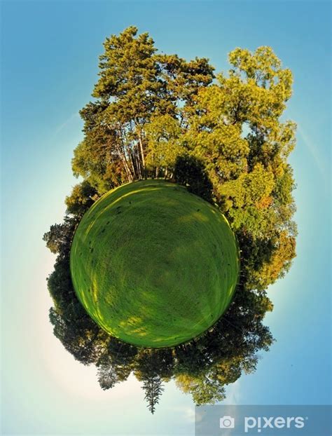 Fototapeta flizelinowa Las Globe Mała planeta PIXERS PL