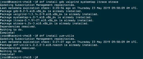 How To Setup A Developer Workstation In Rhel 8