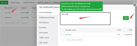 Primary Domain Cannot Be Wildcard DNS Record AaPanel Free Hosting