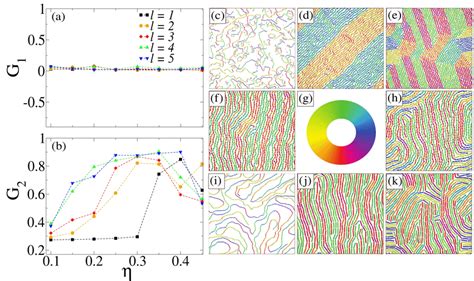 11 A The Polarization And B The Nematic Order Parameter For