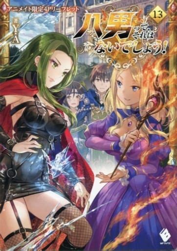 駿河屋 八男って、それはないでしょう13 アニメイト限定4pリーフレット 特典（漫画・アニメ）