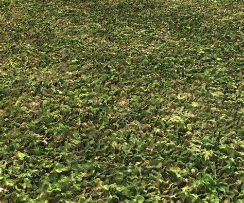 Artstation Grass Photogrammetry Based Environment Texture Game Assets