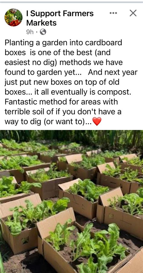 Compost Box With Lush Green Plants