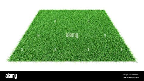 Grass Shape Ideas At Virginia Mullins Blog