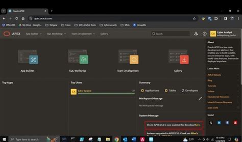 Learning Oracle Apex With A Curious Mindset And Learning Skills