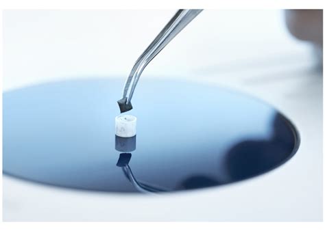 Soft Materials Reinforced Thermoplastic Elastomers