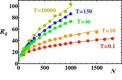 The Radius Of Gyration Rg Vs The Number Of Monomers N At Different Download Scientific Diagram