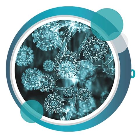 Smartseqtm 1000 Multiple Combined Pathogen Genes Detection Shengting