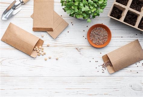 Premium Photo Gardening Concept Planting At Home