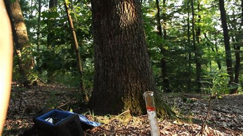 Nude Outdoor Smoking And Coughing Sophie Ladder Clips4sale