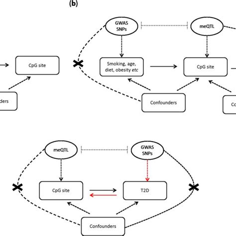 Example Of How Mendelian Randomisation Can Be Applied To Ascertain Download Scientific Diagram