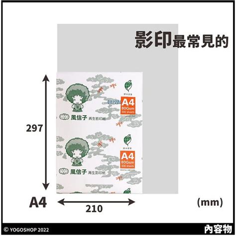 風信子 A4影印紙 再生影印紙 80磅 一箱10包入 每包500張 A4 列印紙 再生紙 80磅影印紙 環保影印紙 亨 Yahoo奇摩拍賣