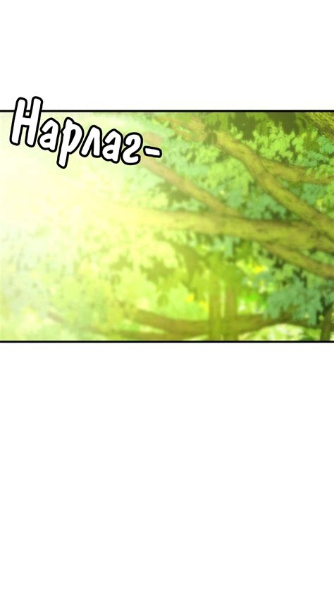 Тотемын хаант улс 17