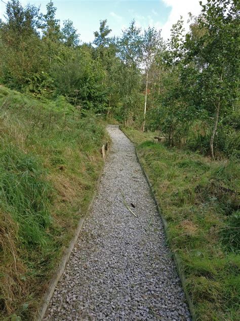 Brunts Barn Ecology Project Grindleford