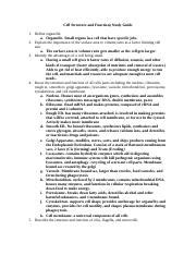 Cell Structure And Function Study Guide Docx Cell Structure And Function Study Guide Define