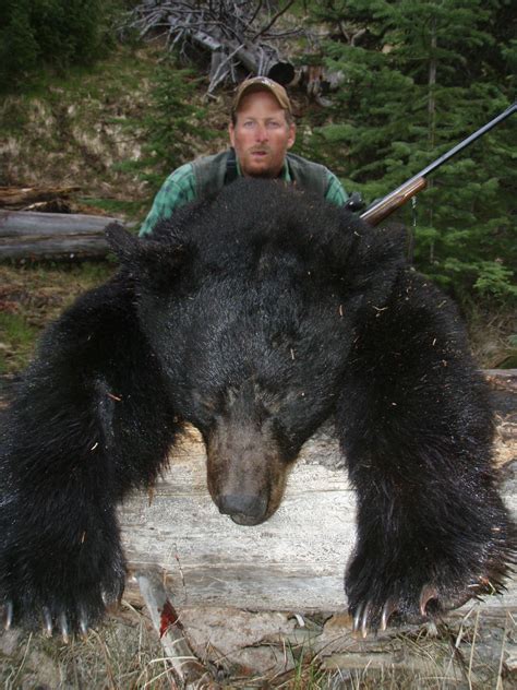 7 Day Spring Black Bear Hunt For 2 Hunters