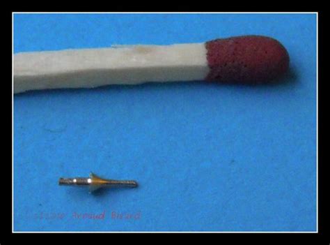 Cvw 8 Tomcat Launch Last Tomcat Cruise Work In Progress Aircraft