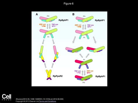 dom bellini miroslav z papiz structure ppt download