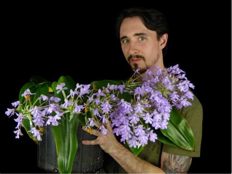 Nicholas Rust To Speak On Habenarias At June 1 Meeting Houston Orchid