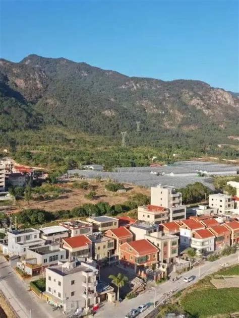 厦门检察：厚植为民情怀 “检察蓝”助绘乡村振兴画卷澎湃号·政务澎湃新闻 The Paper