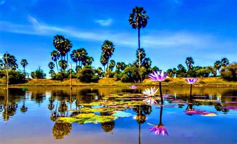 Bnn កាសែតដំណឹងទាន់ហេតុការណ៍ Breaking News Newspaper Home