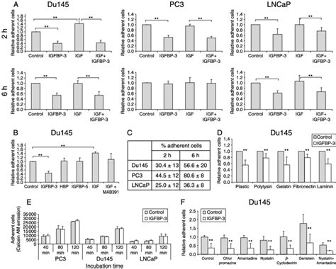Igfbp 3 Inhibits Prostate Cancer Cell Matrix Adhesion A C Igfbp 3