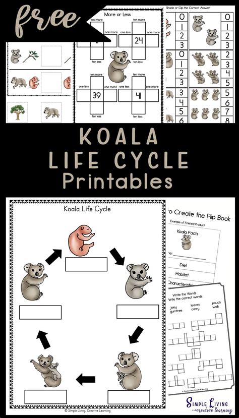 Koala Life Cycle Printables Graphing Activities Letter Activities Color Activities Flip Book
