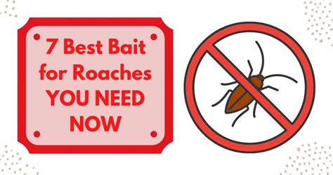 7 Best Bait For Roaches You Need Now The Gardener Info