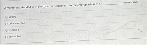 A Membrane Studded With Photosynthetic Pigments In