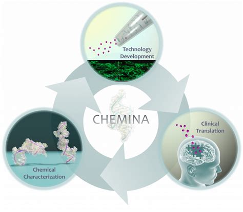Research Vision ‒ Chemina ‐ Epfl