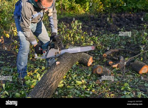 Chainsaw Cutting Wood A Man Cutting A Tree With A Chainsaw Sawdust