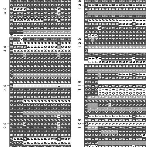 Sequence Alignment Amino Acid Sequence Of Bet V 12801 Compared To Mal