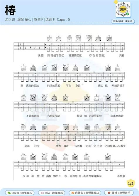 沈以诚《椿》吉他谱 非常多人都在弹的版本 曲谱宝