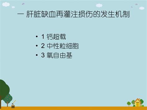 肝脏缺血再灌注损伤发生机制及防治 Word文档在线阅读与下载 无忧文档