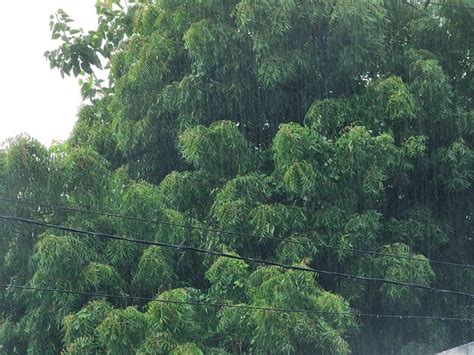 Rains In Only 3 Talukas Of Navsari District Delay In Farming Process