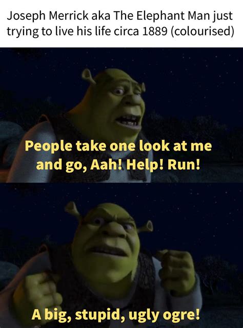 Making A Meme From Every Line In Shrek 2001 Day 441 Rshrek
