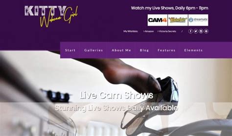Best Adult Webcam Software Solutions Adult Blog