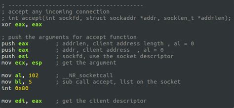 Bind Tcp Shellcode Saleh Security
