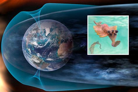 Earths Magnetic Field Near Collapse Boosted Evolution Scientists