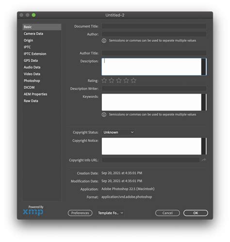 p text input cursor disappeared in file info adobe community 12249022