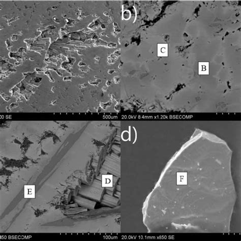 Scanning Electron Microscope Sem Micrographs And Energy Dispersive