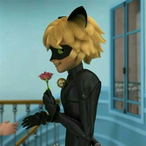 Miraculous Matching Icons