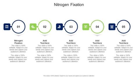 Nitrogen Fixation PowerPoint Templates Slides And Graphics