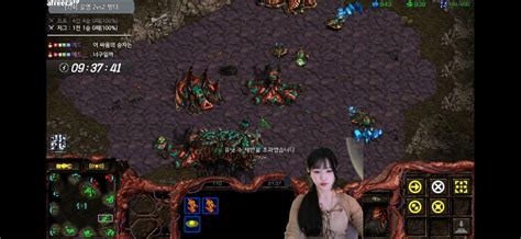 길영이 짱다 상대 올멀티 ㄷㄷ 스타크래프트 에펨코리아